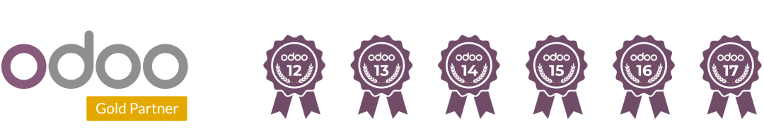Odoo Training Indonesia | Functional & Technical (Development)